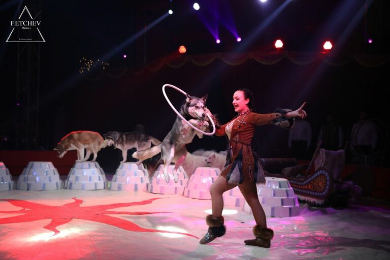 Karácsonyi Csoda Show - FNC - Fővárosi Nagycirkusz